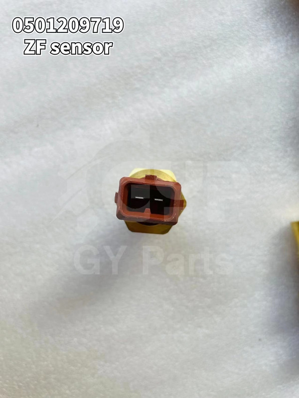 #0501209719 #ZF Sensor